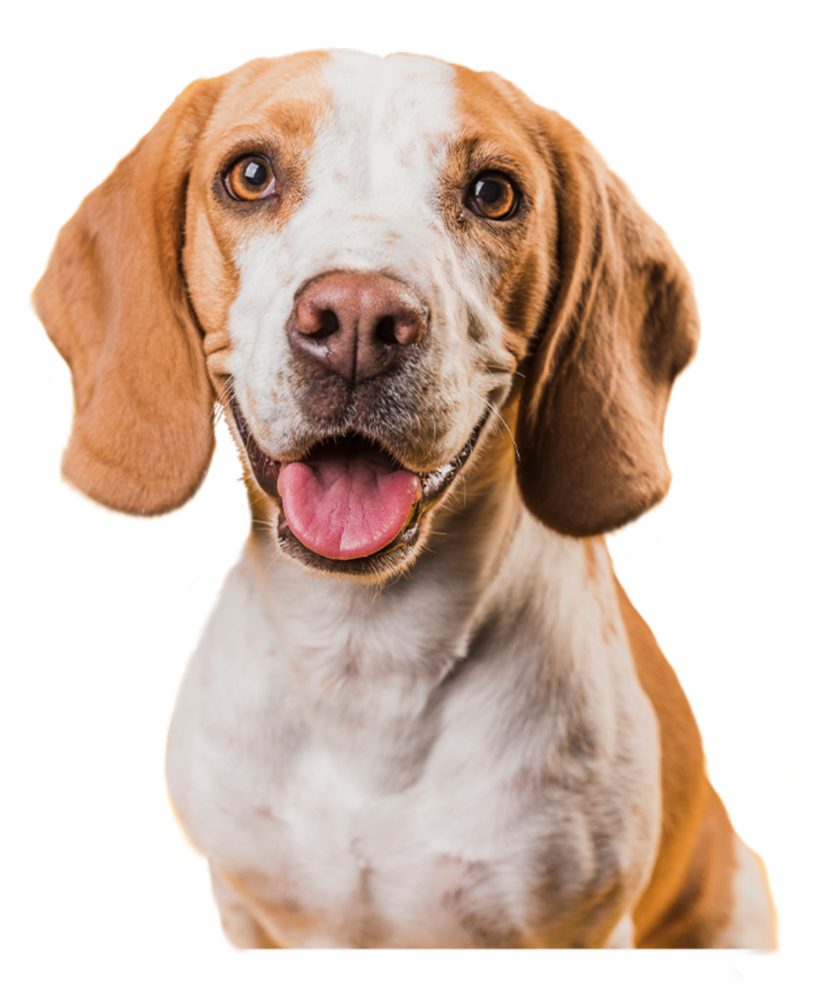 Feeding Guidelines - BLEP World